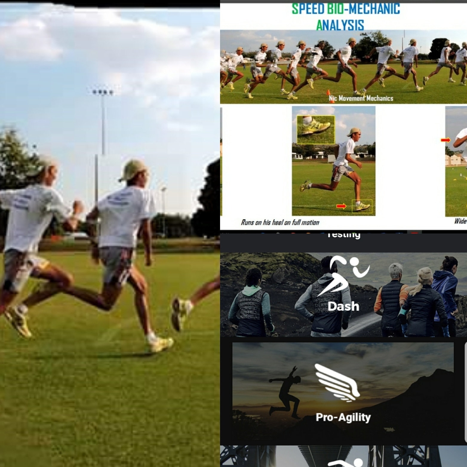 Sports Performance Assessment - High Level Sports Performance